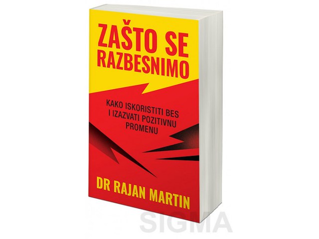 Zašto se razbesnimo - dr Rajan Martin