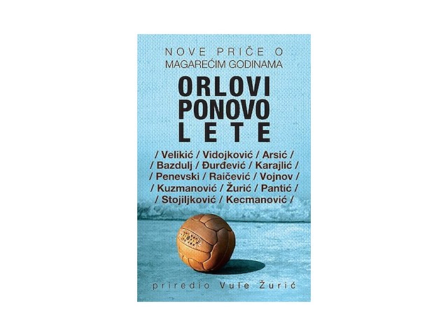 Orlovi ponovo lete - Grupa autora