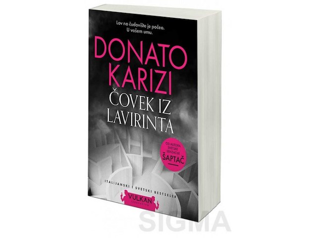 Čovek iz lavirinta - Donato Karizi