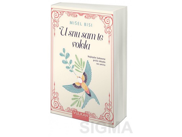 U snu sam te volela - Mišel Bisi