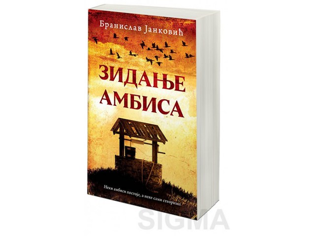 Zidanje ambisa - Branislav Janković