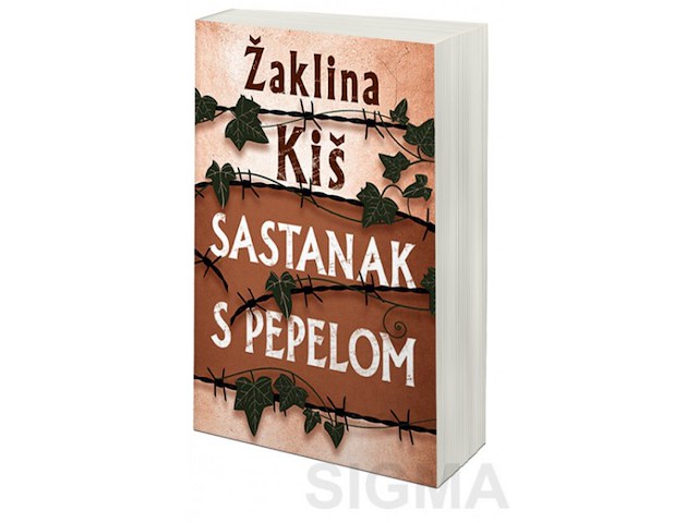 Sastanak s pepelom - Žaklina Kiš