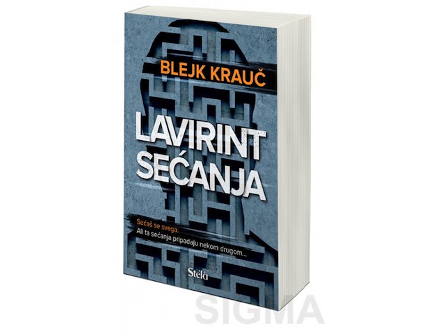 Lavirint sećanja - Blejk Krauč