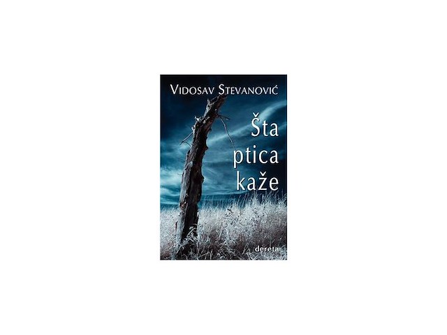 Šta ptica kaže - Vidosav Stevanović