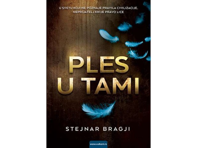 Ples u tami - Stejnar Bragji