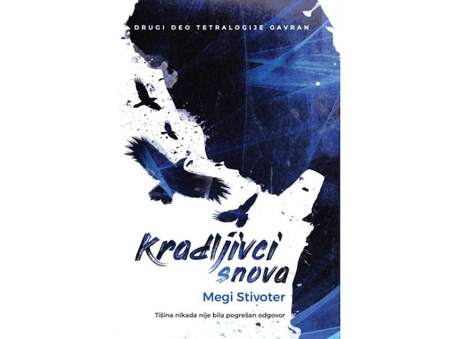 Kradljivci snova - Megi Stivoter