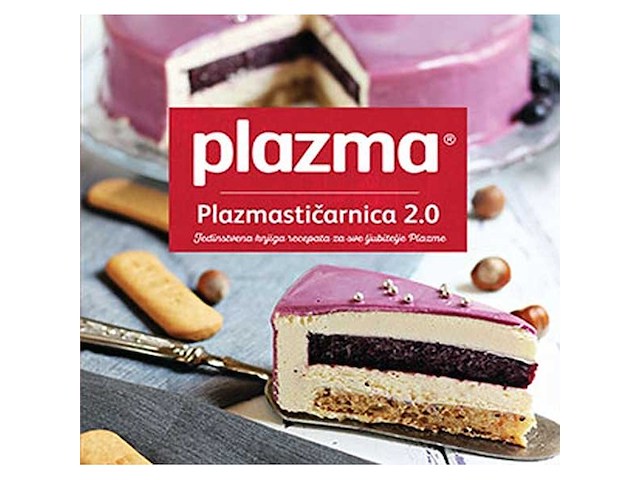 Plazma Plazmastičarnica 2.0 - Grupa autora