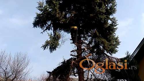 Krčenje, obaranje i rusenje stabala