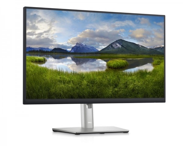 DELL 23.8'' P2423D QHD Professional IPS monitor