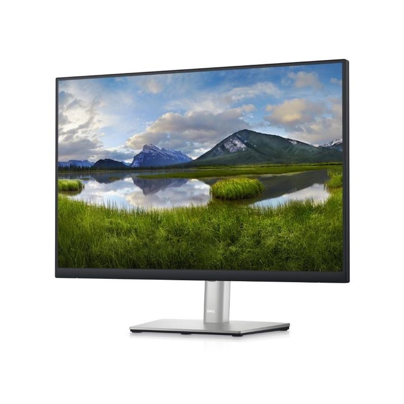Dell 24″ P2423 Professional IPS monitor
