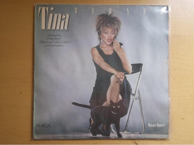 Tina Turner: Private Dancer