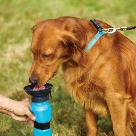 Prenosiva flašica za pse – Aqua Dog
