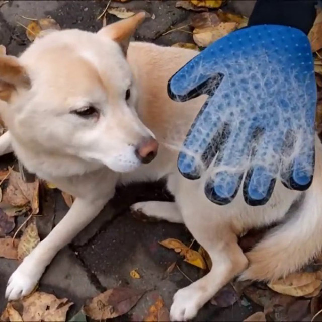 Rukavice za skidanje dlaka