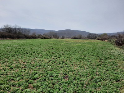 JOVAC,poljoprivredno zemljište, K.O Jovac
