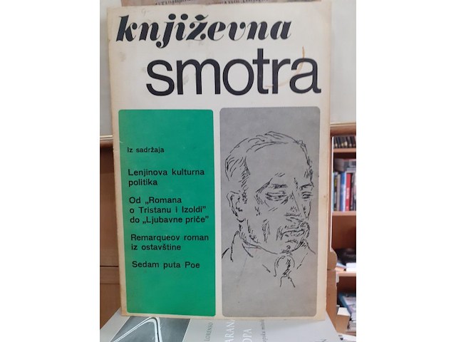 KNJIŽEVNA SMOTRA 17