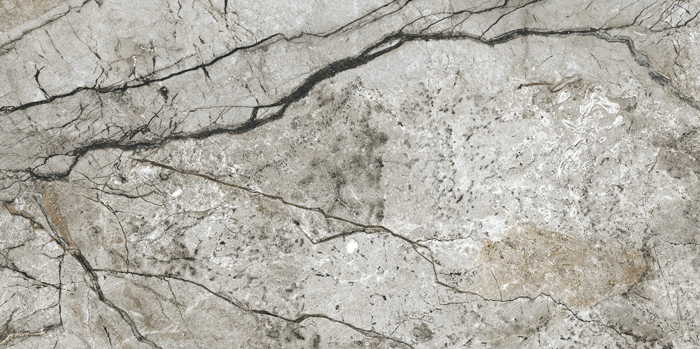 Marble Skin Grey Matt 59,8×119,8