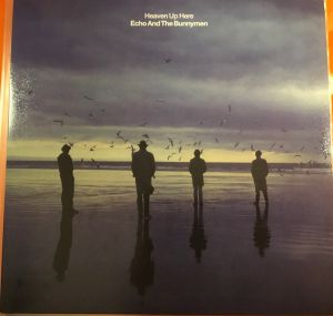 Echo & The Bunnymen