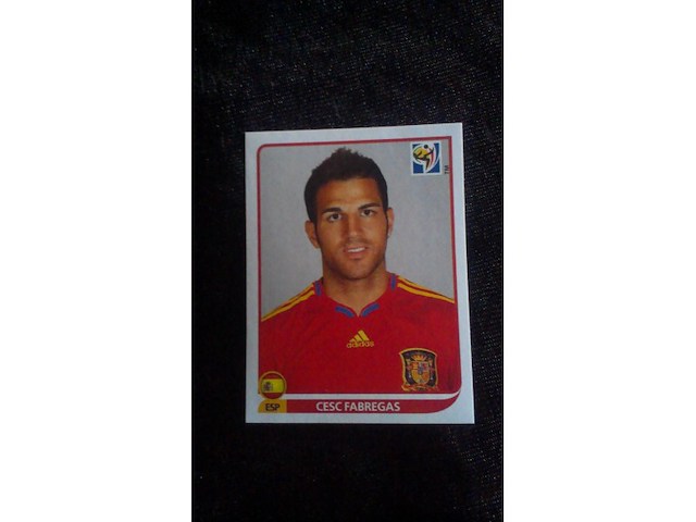 Panini FIFA 2010 J.Afrika sličica broj 576