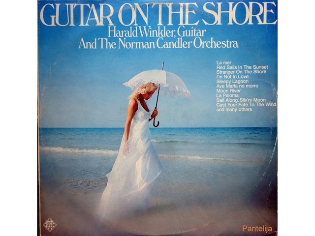 LP GUITARON THE SHORE