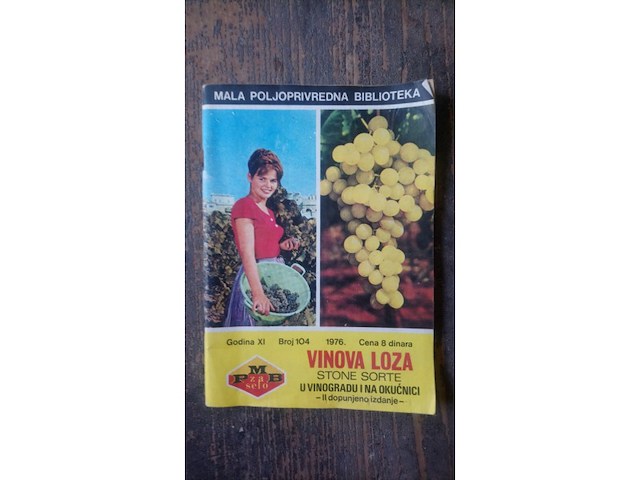 VINOVA LOZA stone sorte u vinogradu i na okućnici
