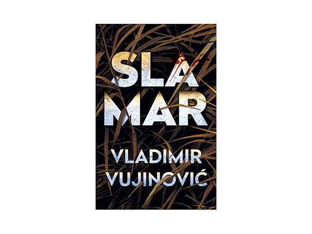 Slamar - Vladimir Vujinović