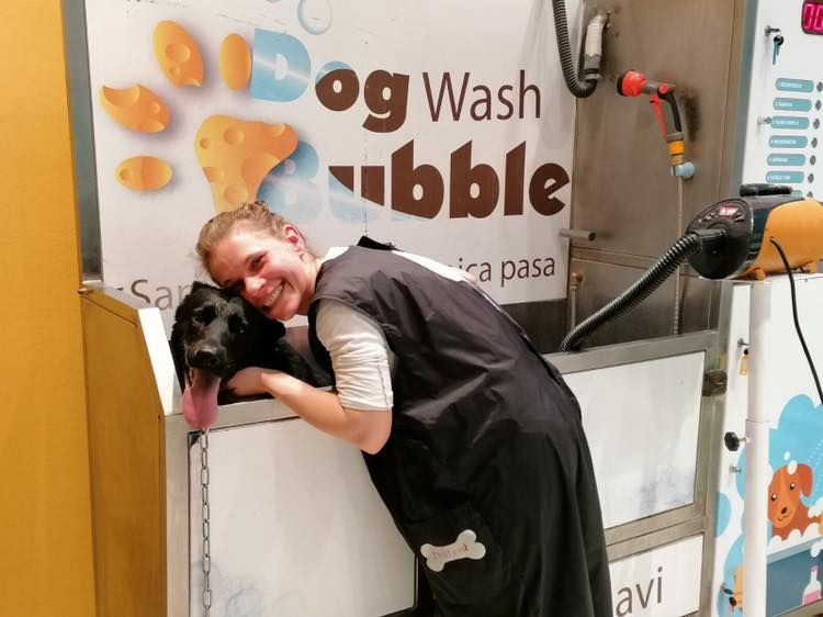 Samouslužno i uslužno kupanje pasa - Dog Wash Bubble Novi Sad