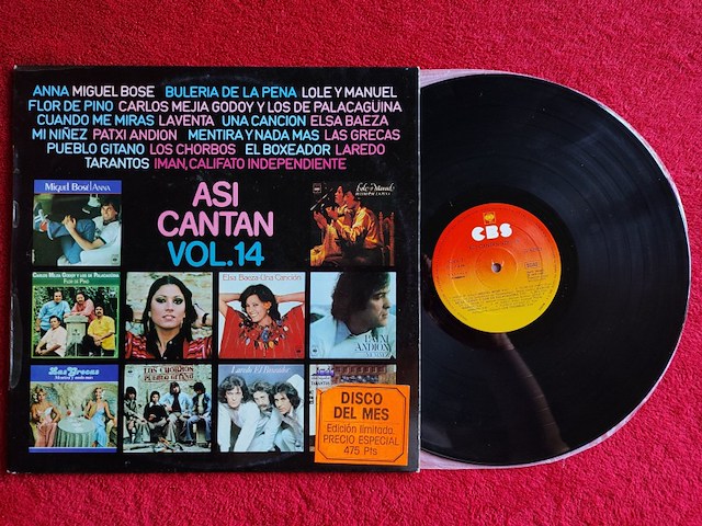 Various – Asi Cantan Vol. 14