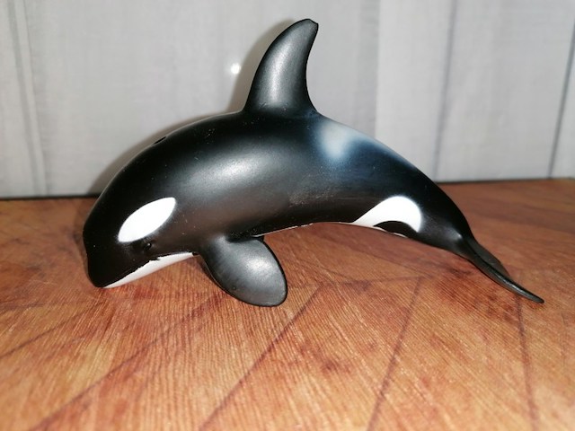 Collecta orca calf