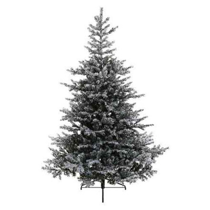 Everlands Novogodišnja jelka Grandis fir snowy 180cm-132cm 68.9761