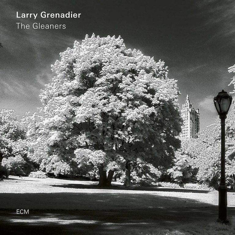 LARRY GRENADIER - The Gleaners