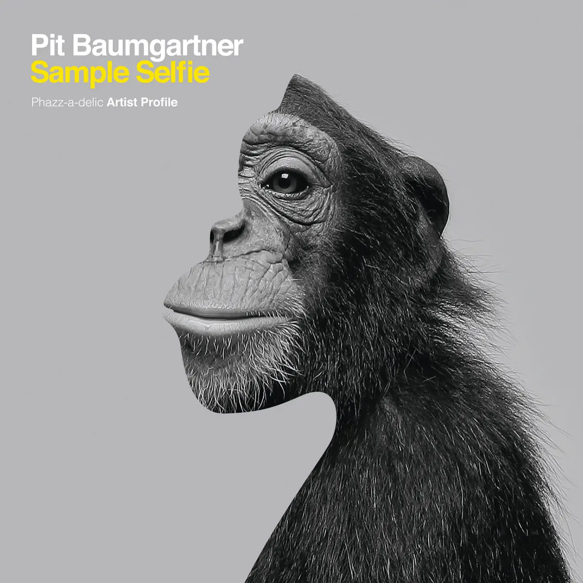 PIT BAUMGARTNER - Sample Selfie