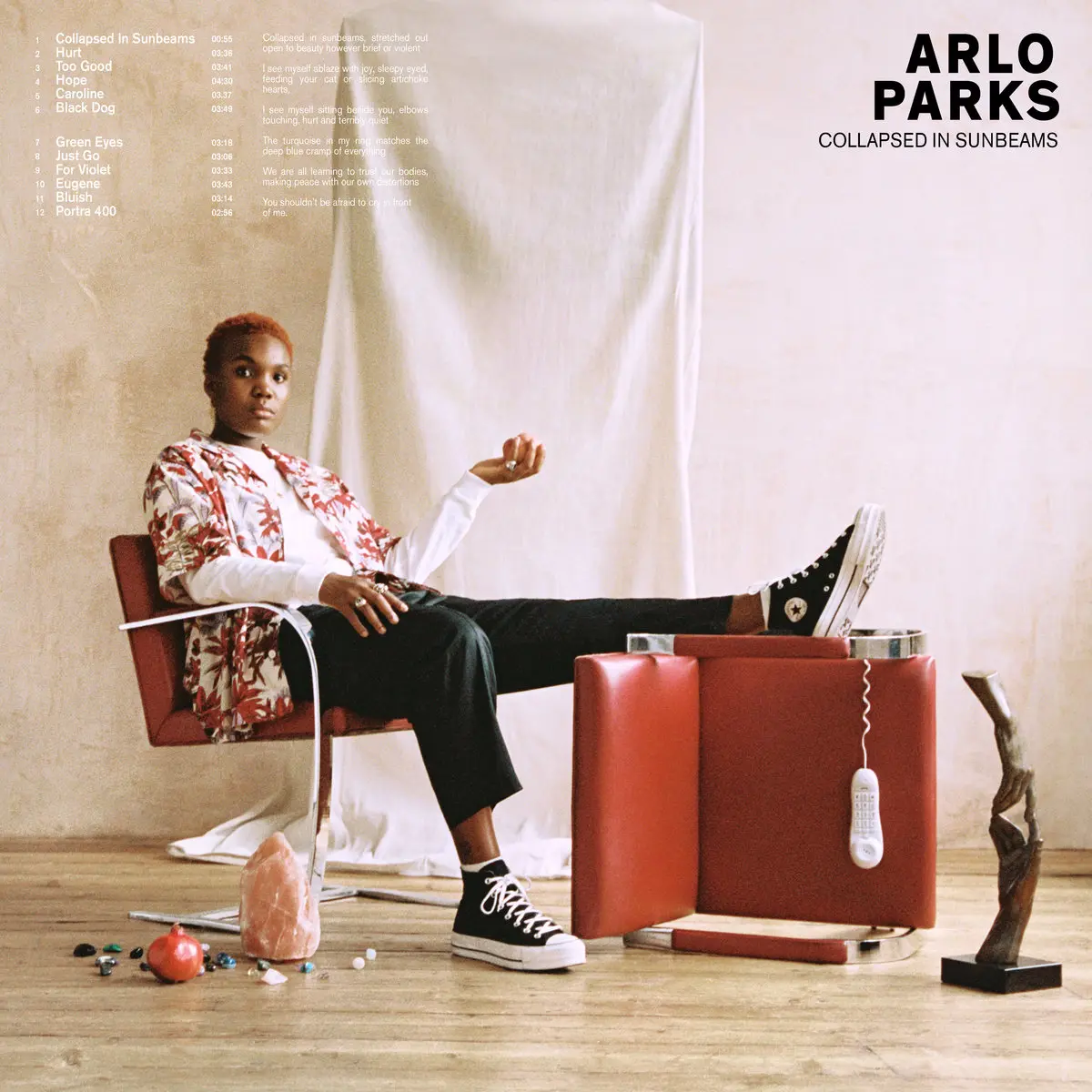 ARLO PARKS - COLLAPSED IN SUNBEAMS