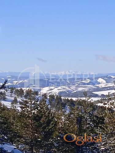 PLAC ČIGOTA ZLATIBOR !!!