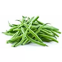 Seme - Boranija top crop - Phaseolus vulgaris L. 80g SE 1734