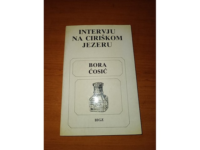 Intervju na Ciriškom jezeru - Bora Ćosič