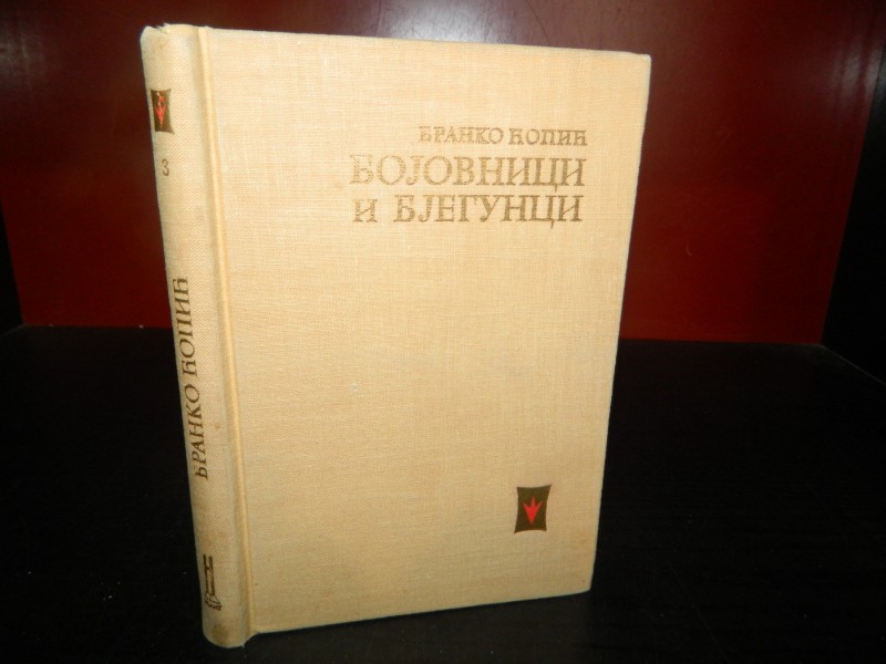 Bojovnici i bjegunci, Branko Ćopić
