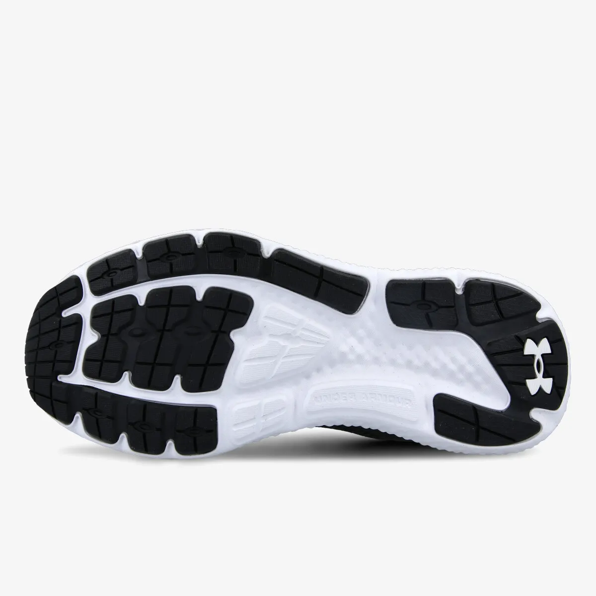 UNDER ARMOUR Patike Charged Rogue 3