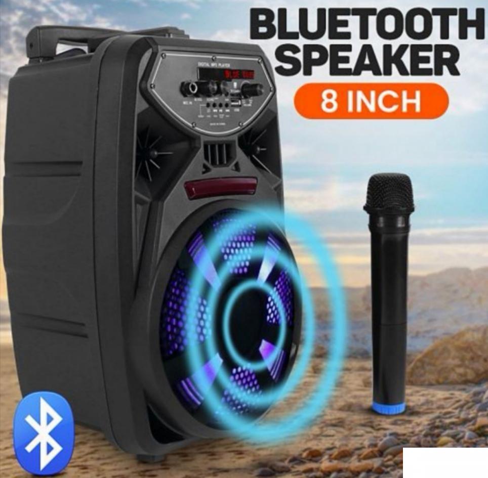 Bluetooth karaoke zvucnik i mikrofon PK-09L