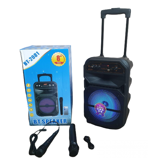 Karaoke Bluetooth Zvucnik sa Bezicnim i zicnim mikrofonom
