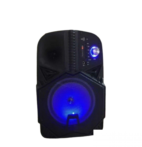 Veliki Bluetooth Karaoke Zvucnik BT-1839