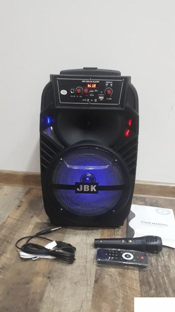 Veliki Bluetooth Karaoke Zvucnik JBK-0812 Najnovi na trzistu