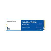 1 TB Western Digital WDS100T3B0C