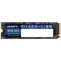 512 GB Gigabyte GP-GM30512G-G