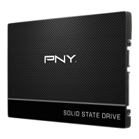 960 GB PNY SSD7CS900-960-PB