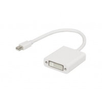 FAST ASIA Adapter Mini DP (M) - DVI (F) beli