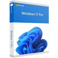Microsoft Windows 11 Pro FQC-10528