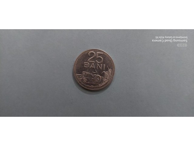 25 BANI