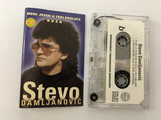 Stevo Damljanović - Meni Jesen A Tebi Proleće