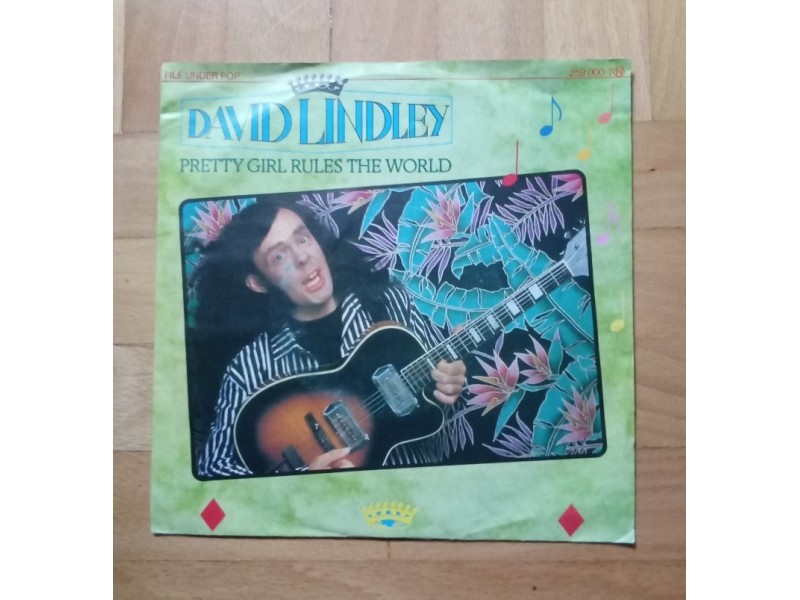 DAVID LINDLEY-Pretty Girl Rules...(Single) (Germany)