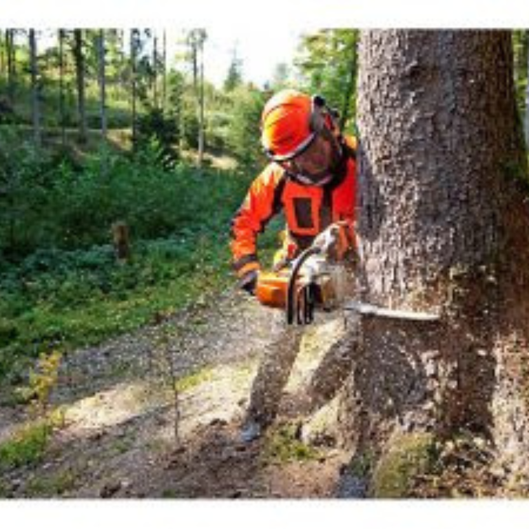 STIHL Motorna testera 3.4/4.6 kW/KS, MS 362